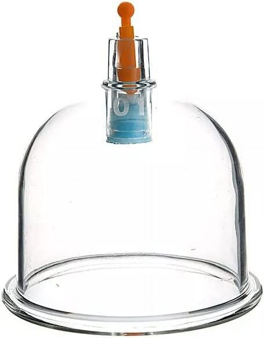 AHCS Cupping Therapy Vacuum Suction Disposable Hijama Cups Chiropractor ...