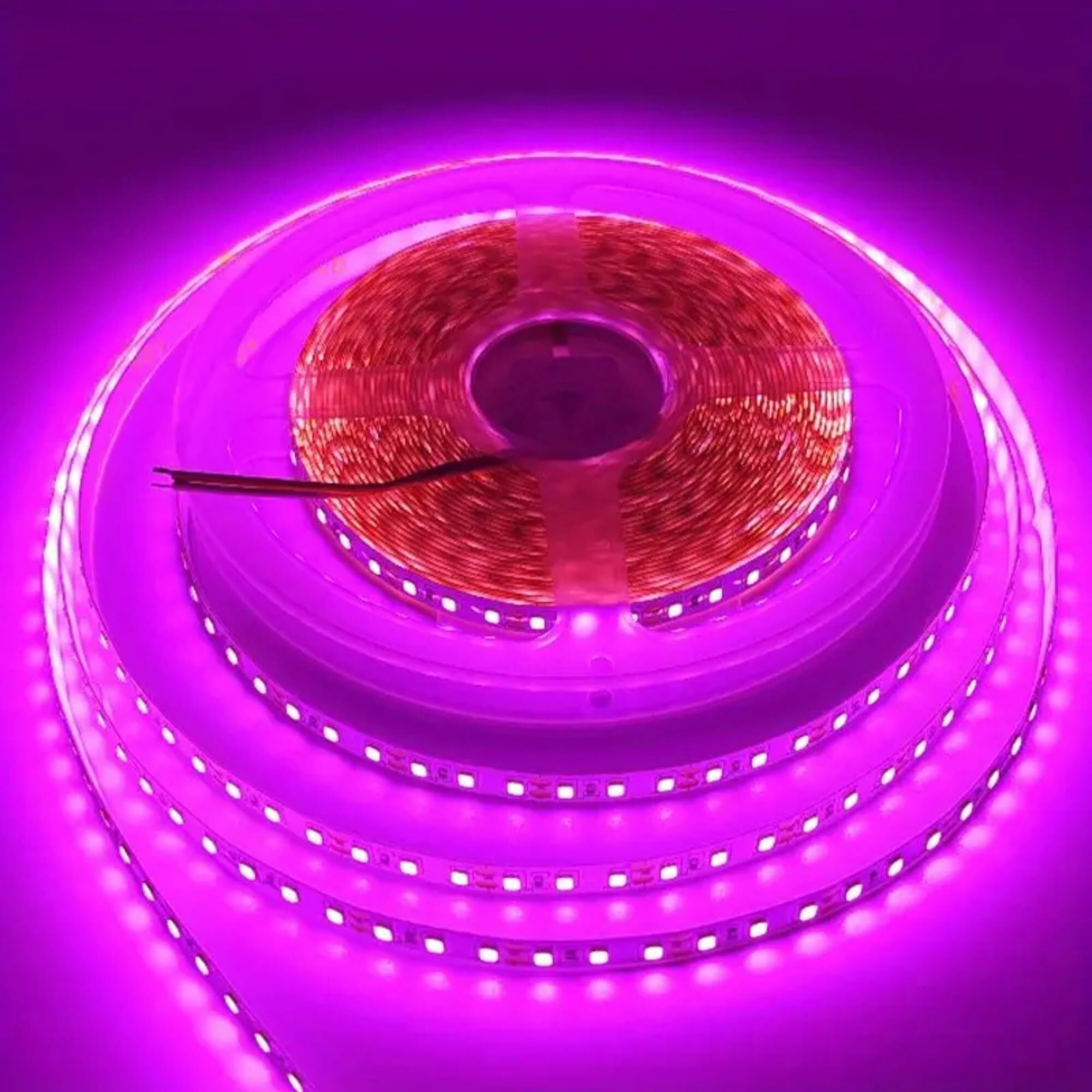 AHORA DECOR 5M LED Strip Light Waterproof Flexible LED Rope Light with ...