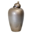 AI11406DS Stylecraft Home Collection Glass Jar-14 Inch Tall and 7.5 ...