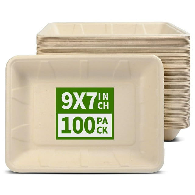 AICHEF 100 Pack 9 SSF20 x 7 inch Rectangle Paper Plates for Tacos ...