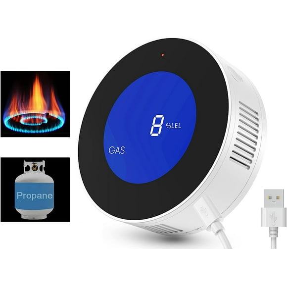 Gas Leak Detector Home
