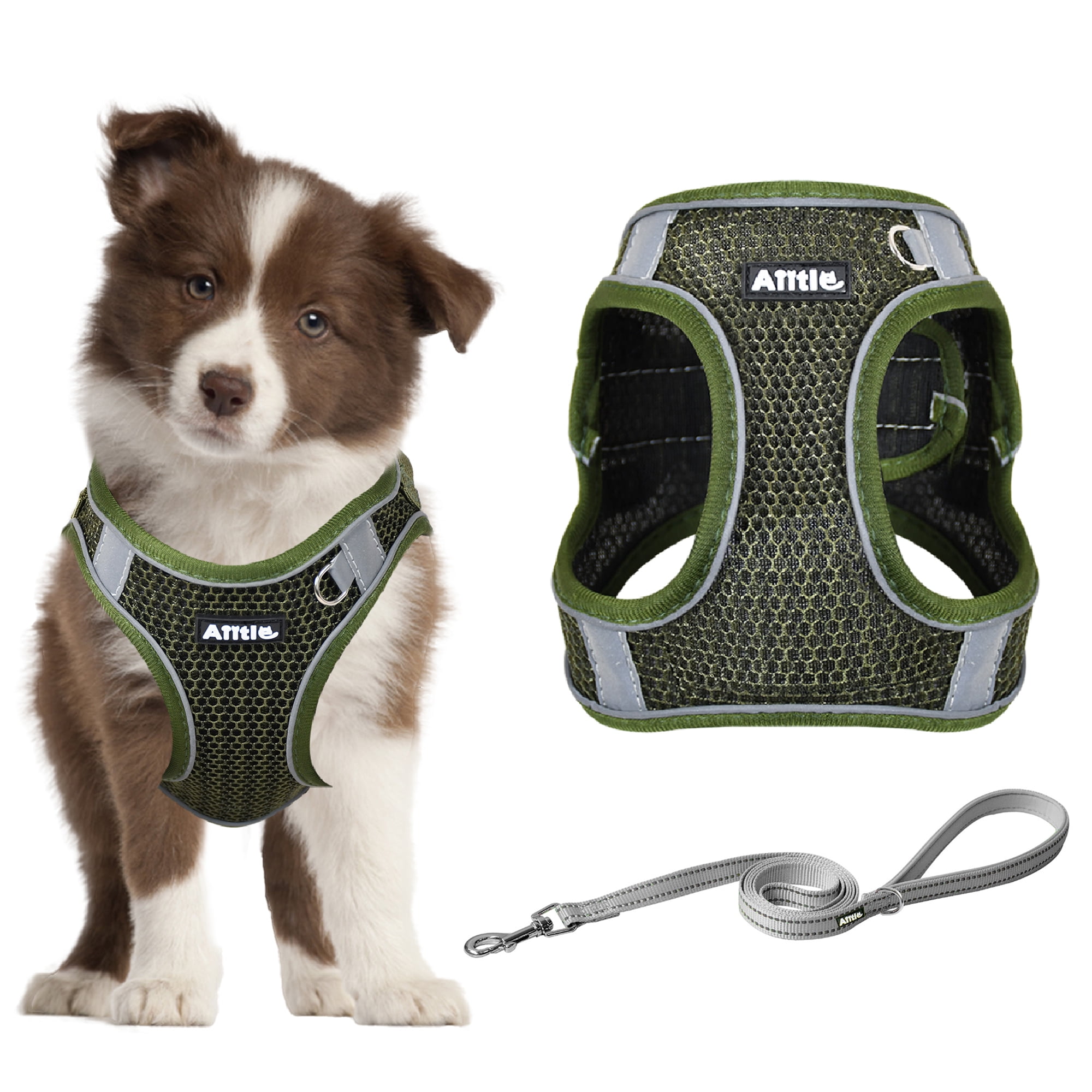 AIITLE Extra Small Dog Harness - Step in Vest Harness with A Leash ...