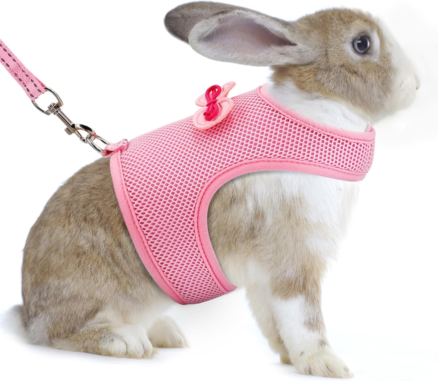 AIITLE Rabbit Harness and Leash Set with Cute Bow, Adjustable Bunny ...