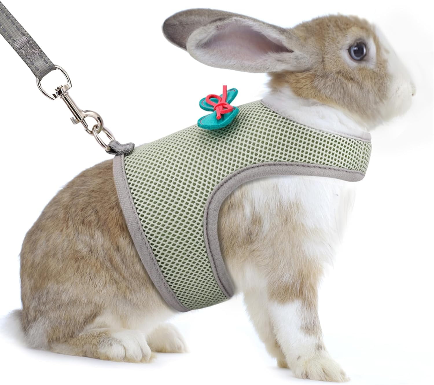 AIITLE Rabbit Harness and Leash Set with Cute Bow, Bunny Leash Vest ...