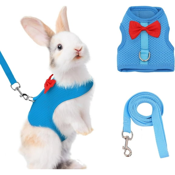 Pig Accessories