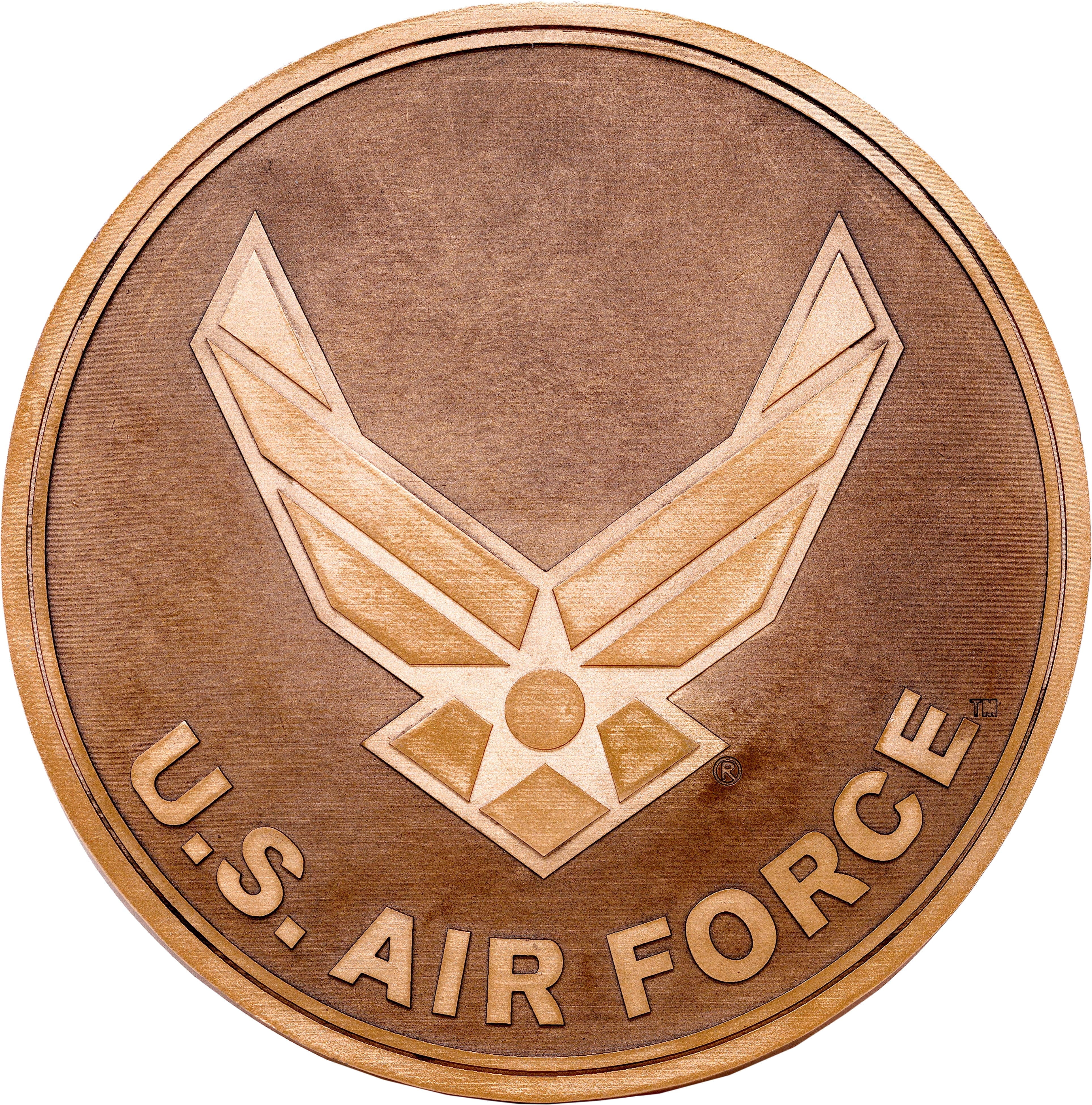 AIR FORCE BRONZE STEP STONE / DECORATIVE WALL PLAQUE - Walmart.com