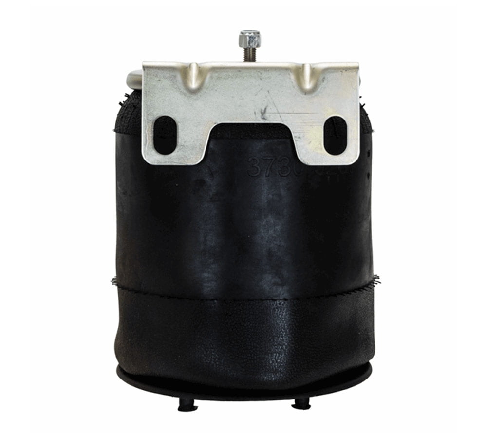 AIR SPRING RL PB, Replaces OEM 1R12-424 - Walmart.com