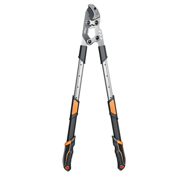 Extendable Tree Loppers