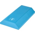 AIREX Balance Pad – Stability Trainer for Balance, Stretching, Physical ...