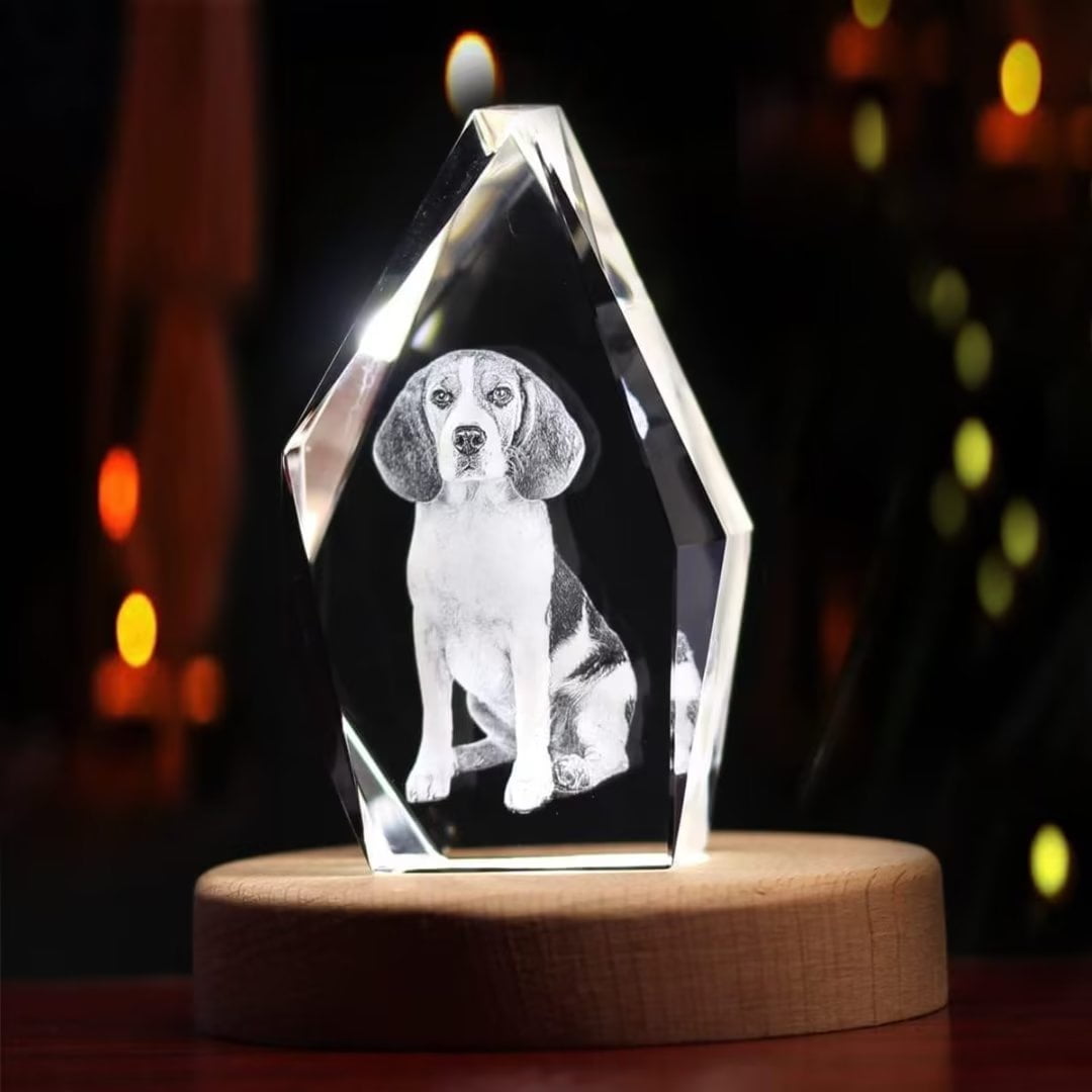AISENIN 3D Crystal Photo Personalized Crystal Gifts 3D Laser Etched ...