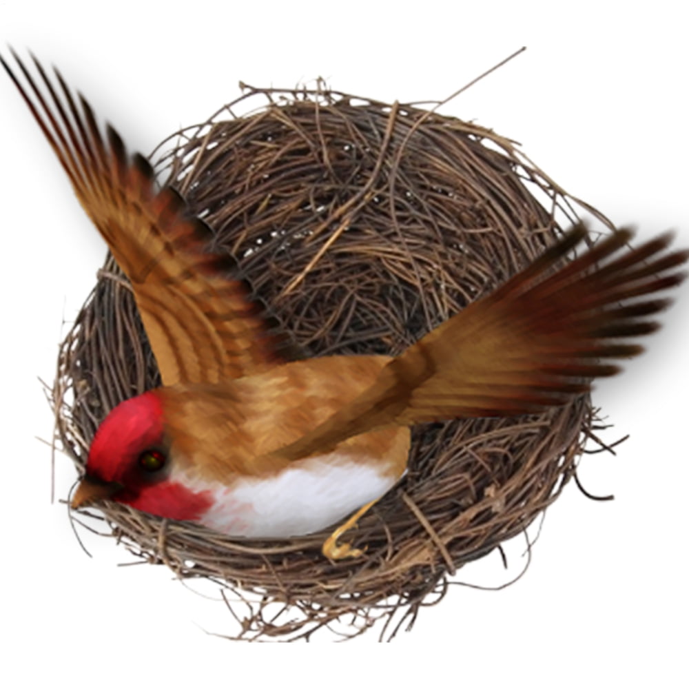 AITOCO Bird Nest For Cage Handmade Woven Bird Cage Bird Breeding ...