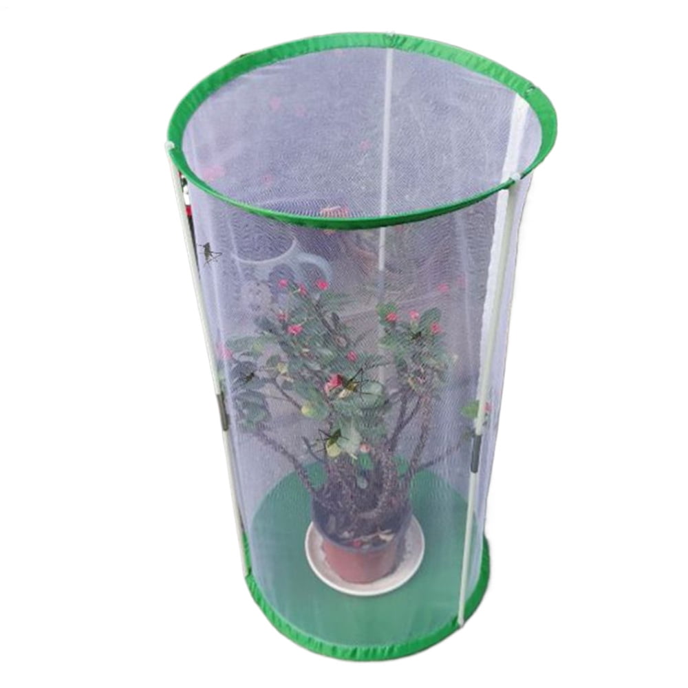 AITOCO Butterfly Mesh Cage 11.8 x 15.7 Inch Caterpillar Enclosure with ...