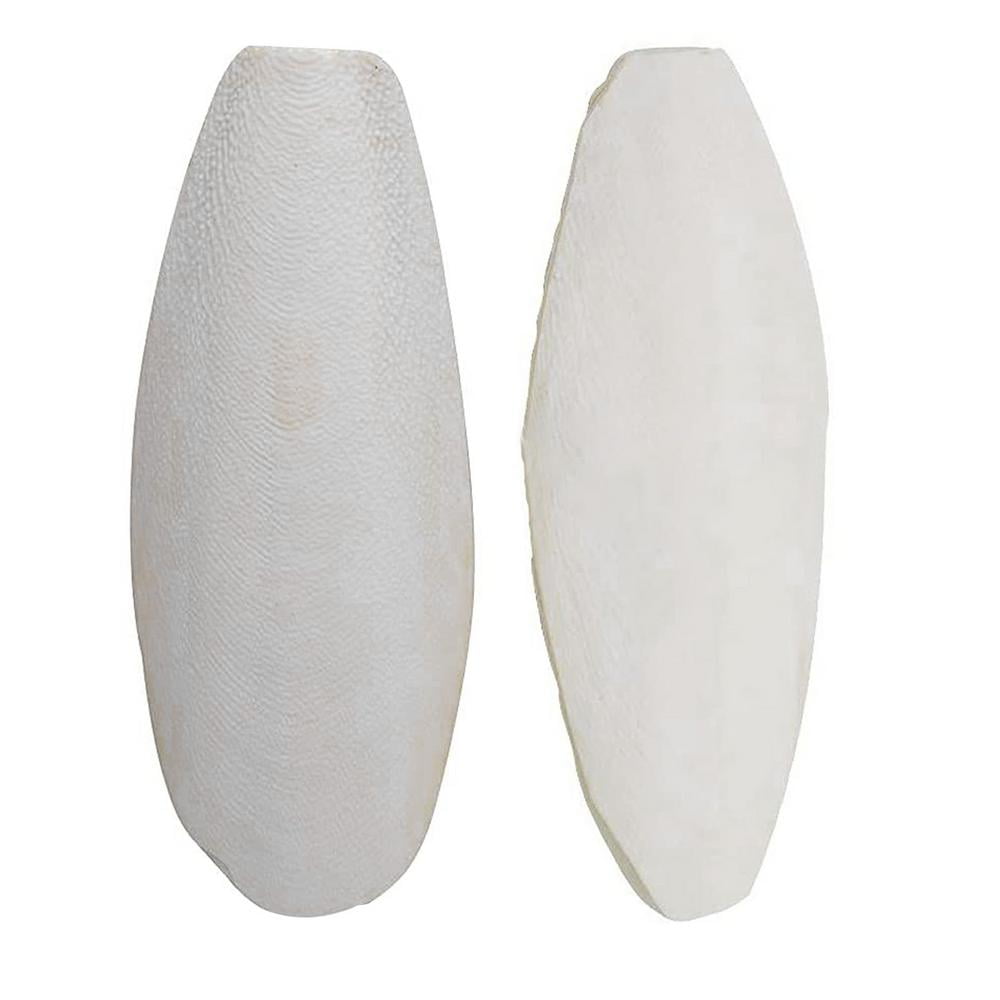 AITOCO Parakeet Cuttlebone 10PCS Chewing Cuttlefish Bone Chew Toy ...