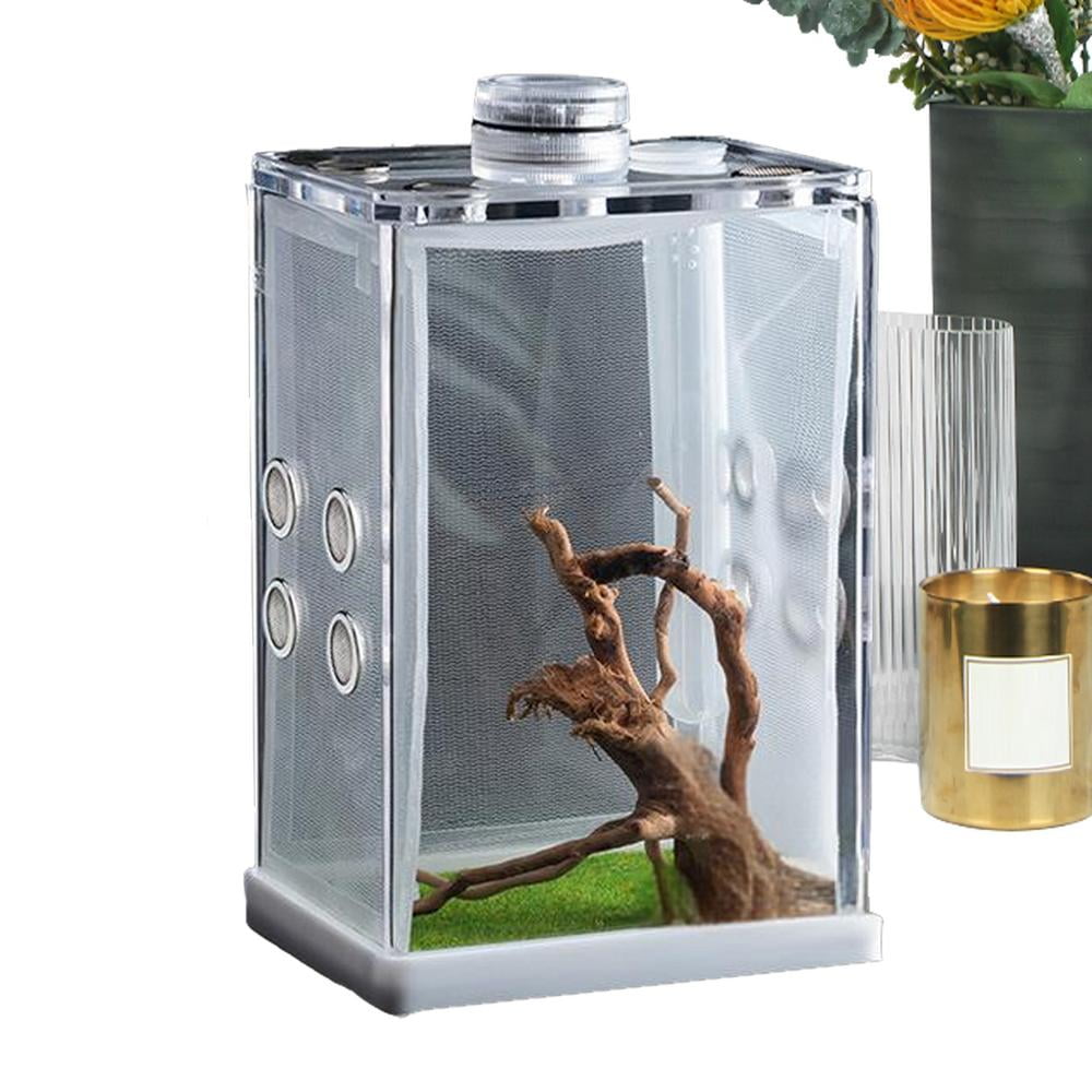 AITOCO Spider Breeding Box Fish Breeding Tanks Spider Cage Fish ...