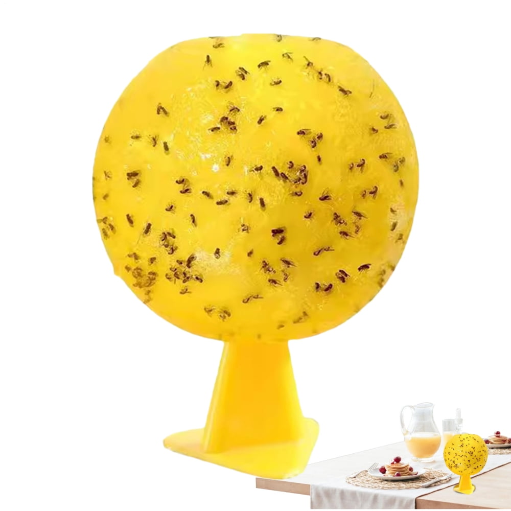 AITOCO Sticky Traps for Gnats Small Gnat Traps for Houses Gnat Zapper ...