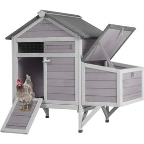 Small Chicken Coops in Chicken Coops - Walmart.com