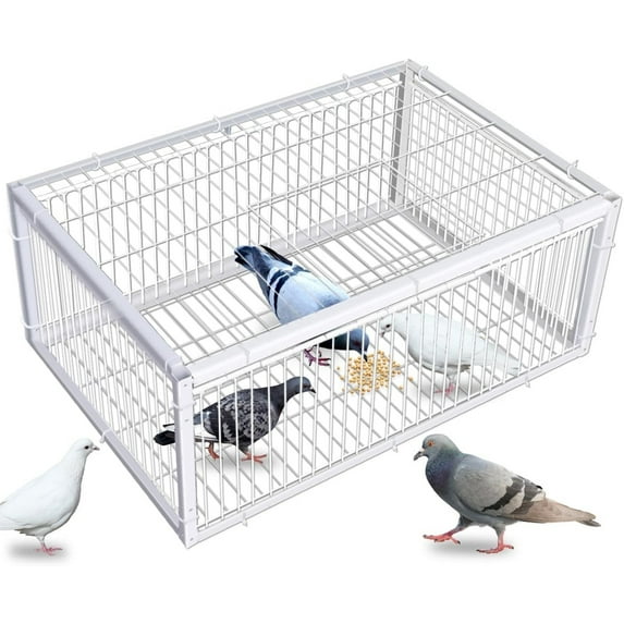 AIWFL Pigeon Trap with Escape-Proof, 23.6 ''x 15.7'' x 10.2'' Metal ...