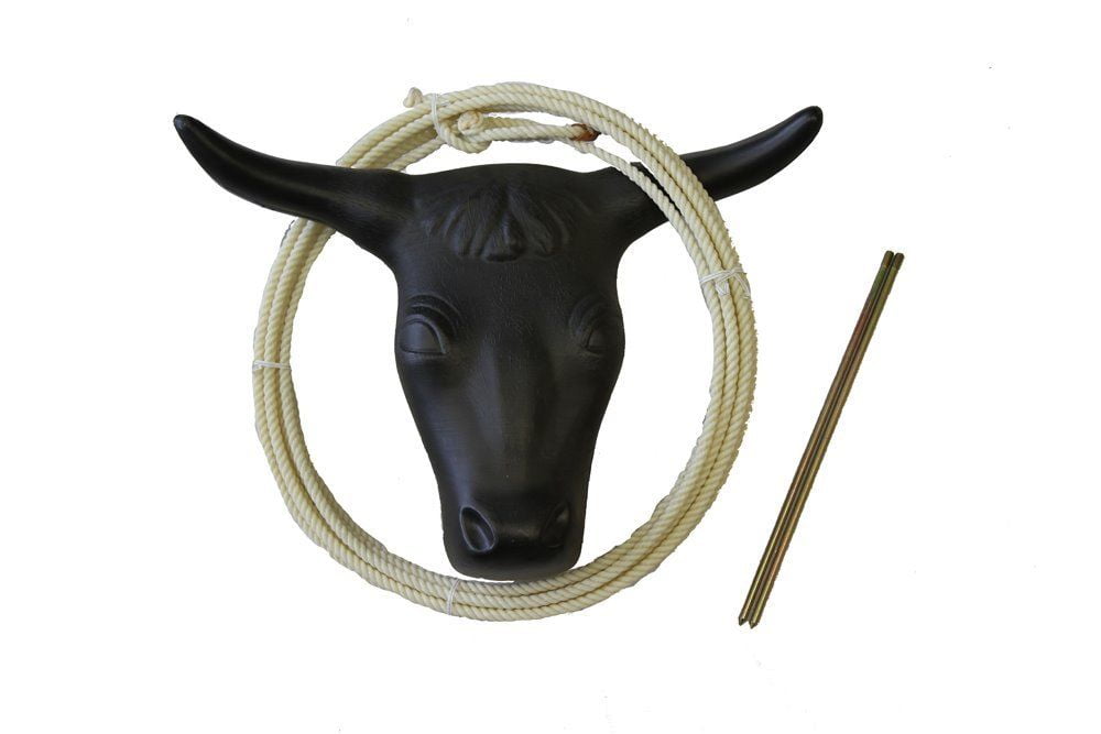 Roping Steer Head