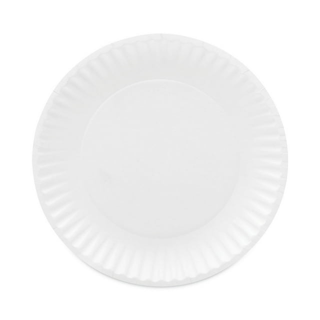 AJM Coated Paper Plates 9 Inches White Round 100/Pack - AJMCP9GOAWH ...