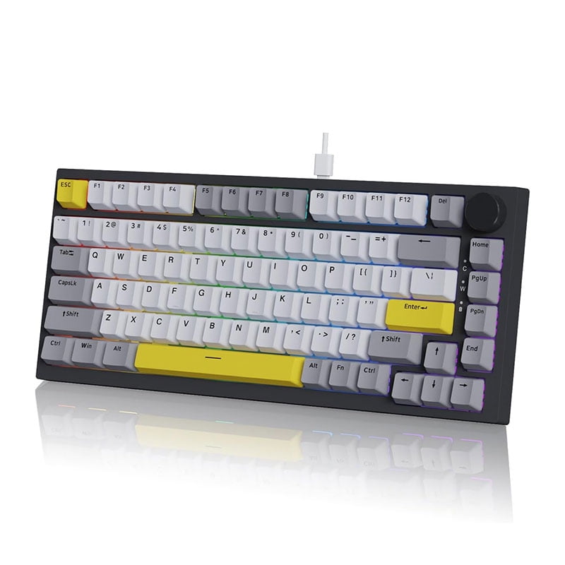 AK820 75% Wired RGB Gasket Mechanical Keyboard with Volume Knob, South ...