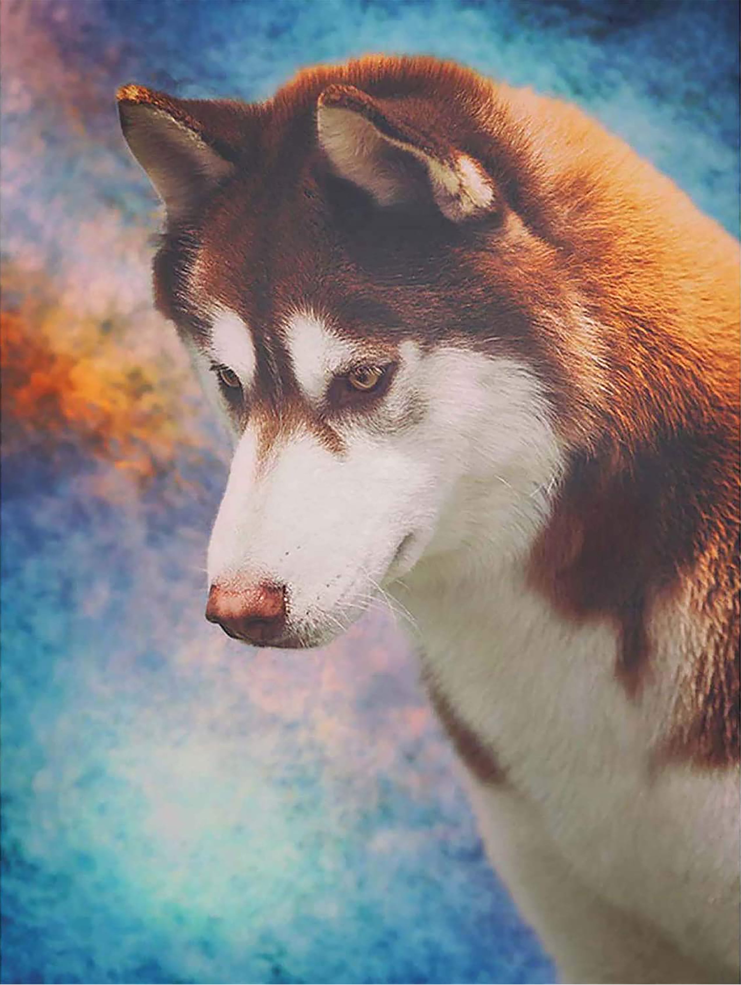 AKFOMEE Color Husky 500 Pieces Wooden Jigsaw Puzzle for Families Games ...