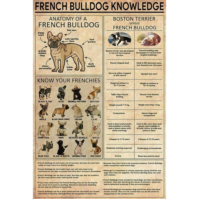 AKFOMEE French Bulldog Knowledge 300 Pieces Jigsaw Puzzle Educational ...