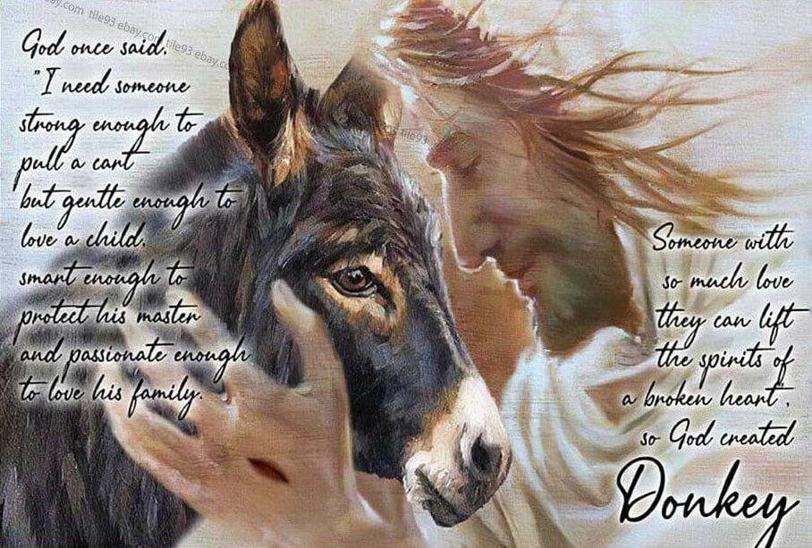 AKFOMEE God And Donkey - God Once Said, I Need Somebody, Strong Enough ...