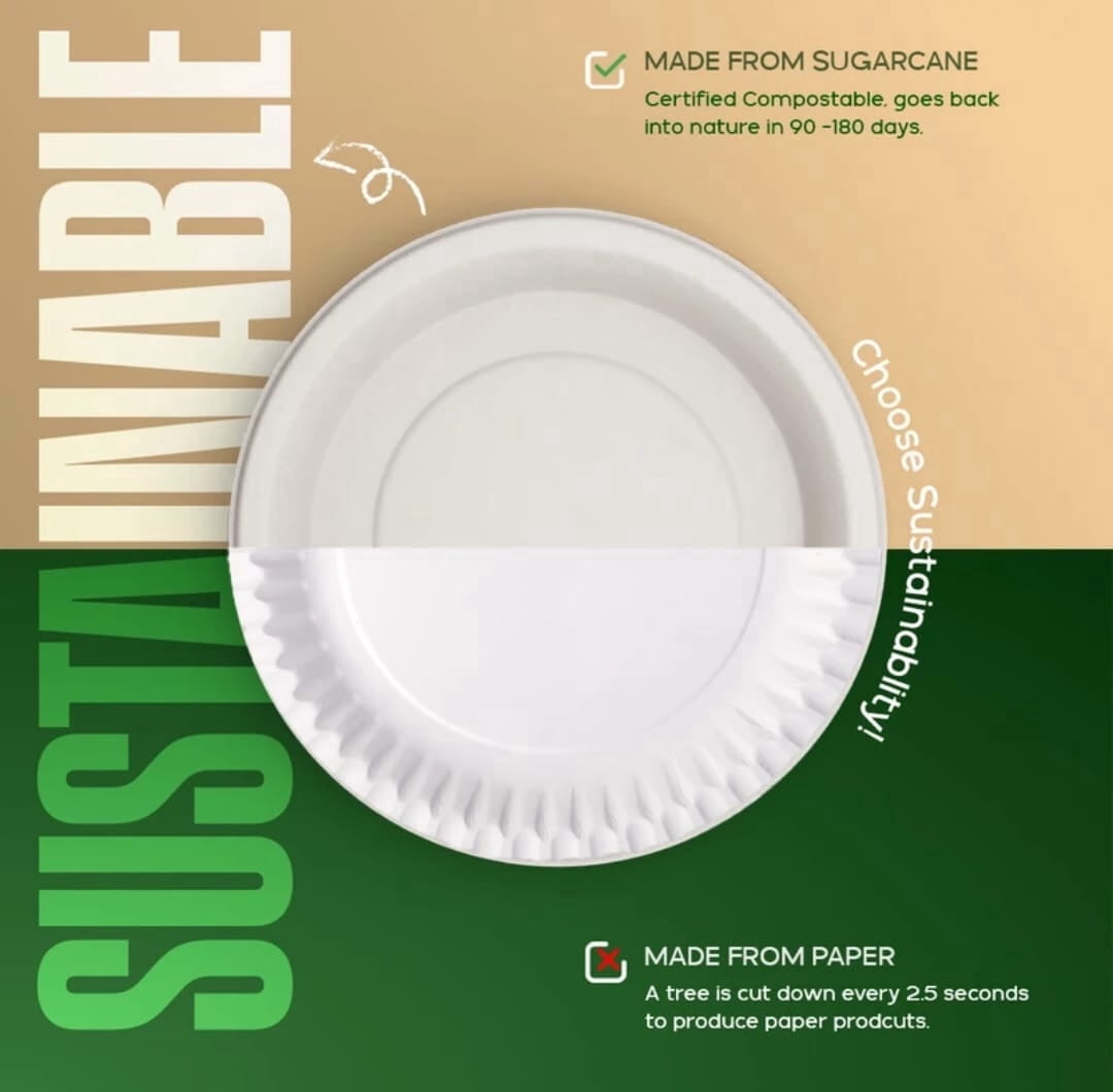 AKSHAYA SALES 12" 4CP Round Plate, Eco-Friendly, Biodegradable, Made of ...