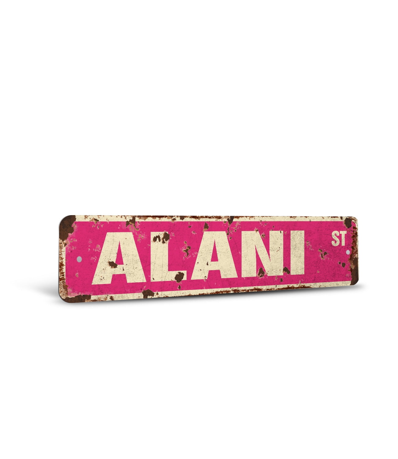 ALANI Vintage Style Rustic Street Sign – Childrens Name Room Sign Retro ...