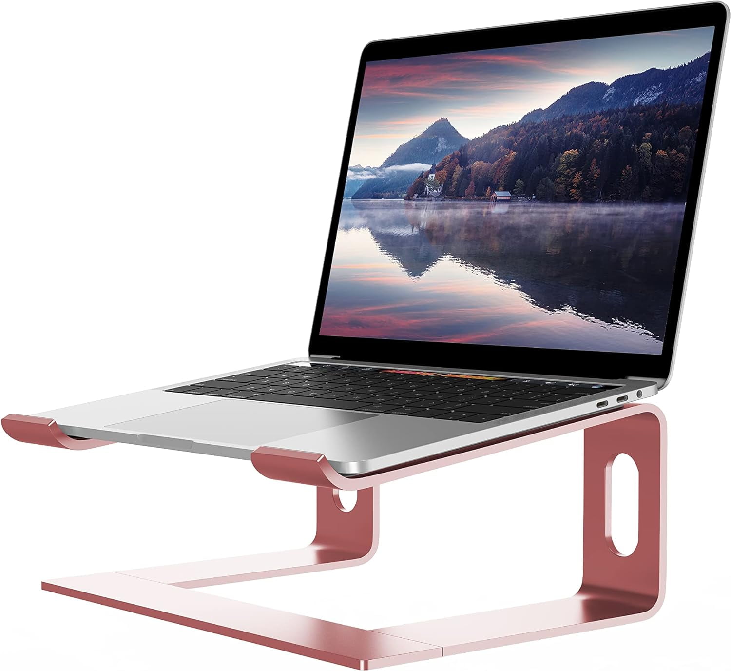 ALASHI Laptop Stand for Desk, Aluminum Computer Riser, Ergono Notebook ...