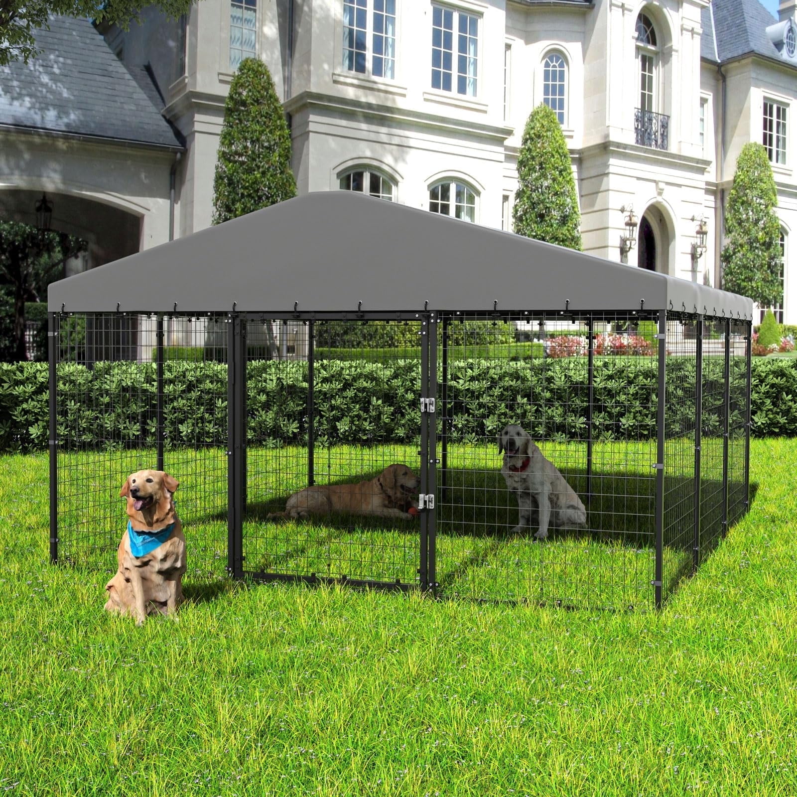 ALAULM Large Outdoor Dog Kennel 10x10x6 ft Steel Enclosure with Double ...