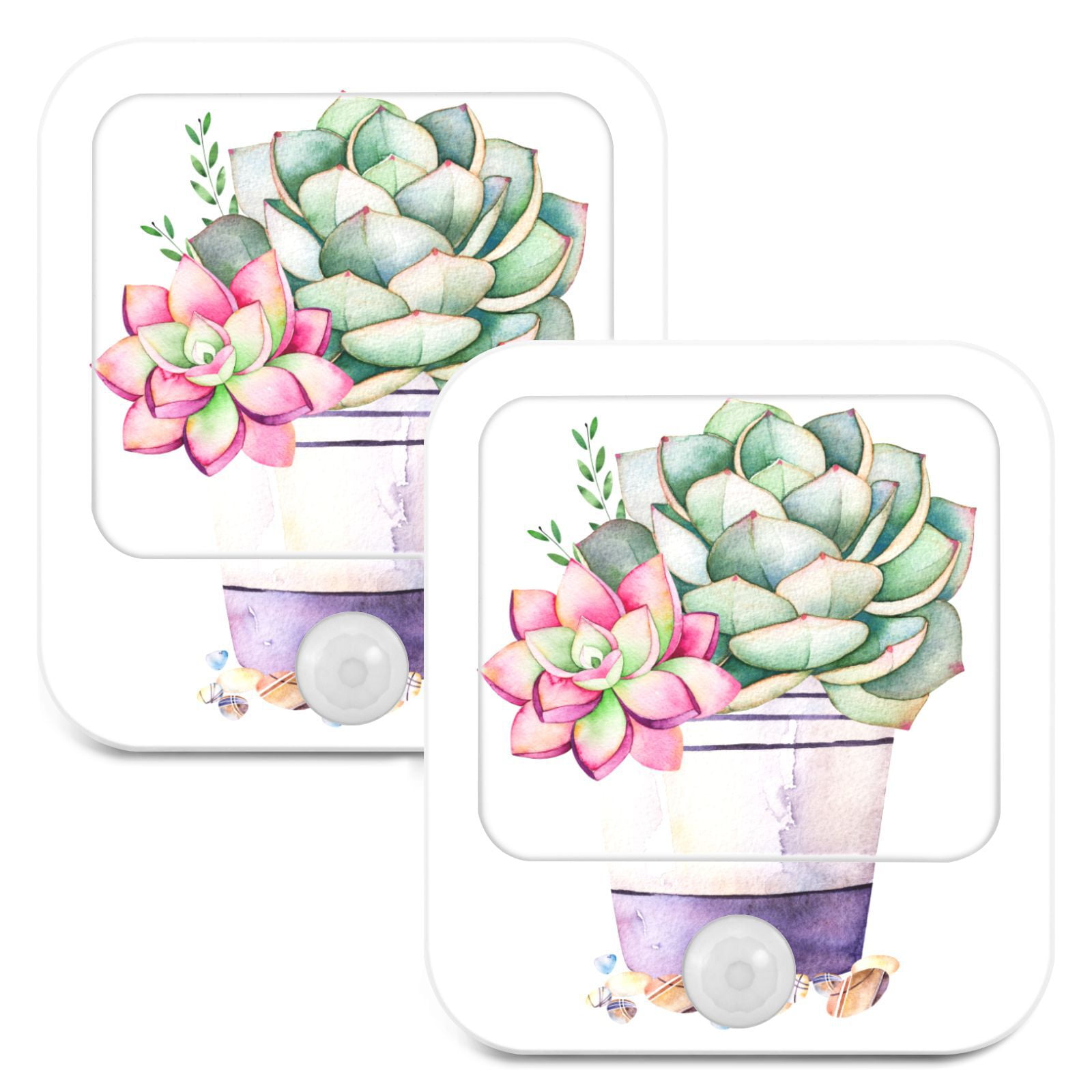 ALAZA Cactus Cacti Succulent Watercolor Cute Night Lights Plug into ...