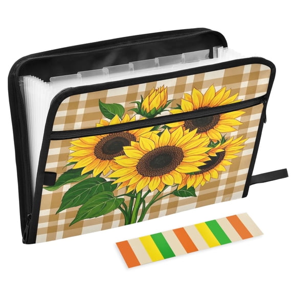 ALAZA Expanding File Folder 13 Pockets Accordion Document Organizer ...