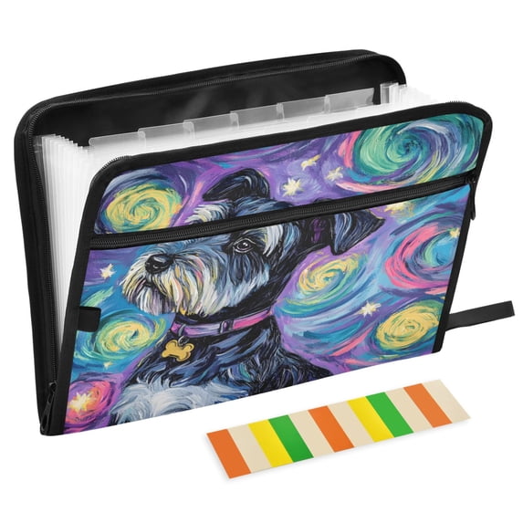 ALAZA Expanding File Folder 13 Pockets Accordion Document Organizer ...