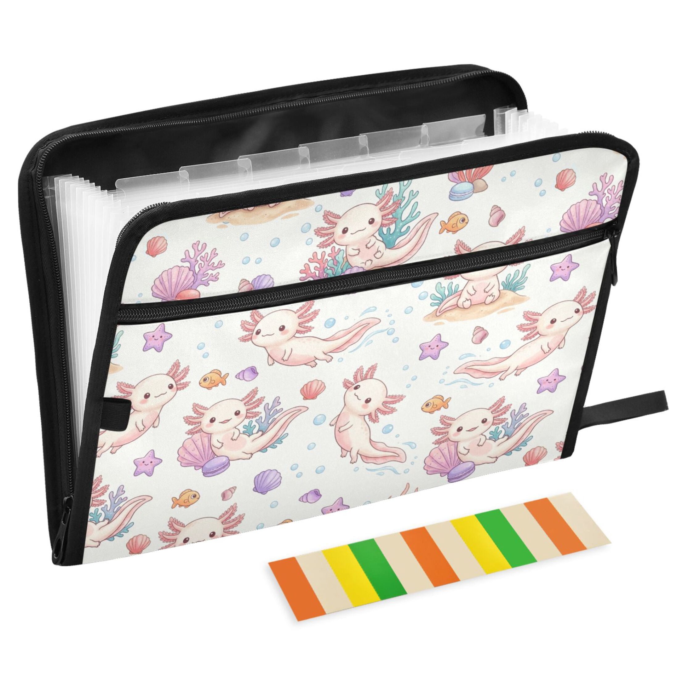 ALAZA Expanding File Folder 13 Pockets Accordion Document Organizer ...