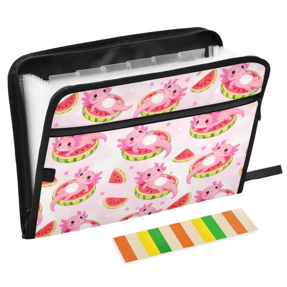 ALAZA Expanding File Folder 13 Pockets Accordion Document Organizer ...