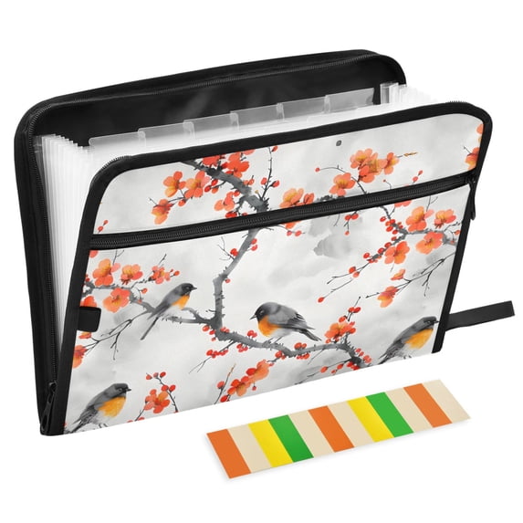 ALAZA Expanding File Folder 13 Pockets Accordion Document Organizer ...