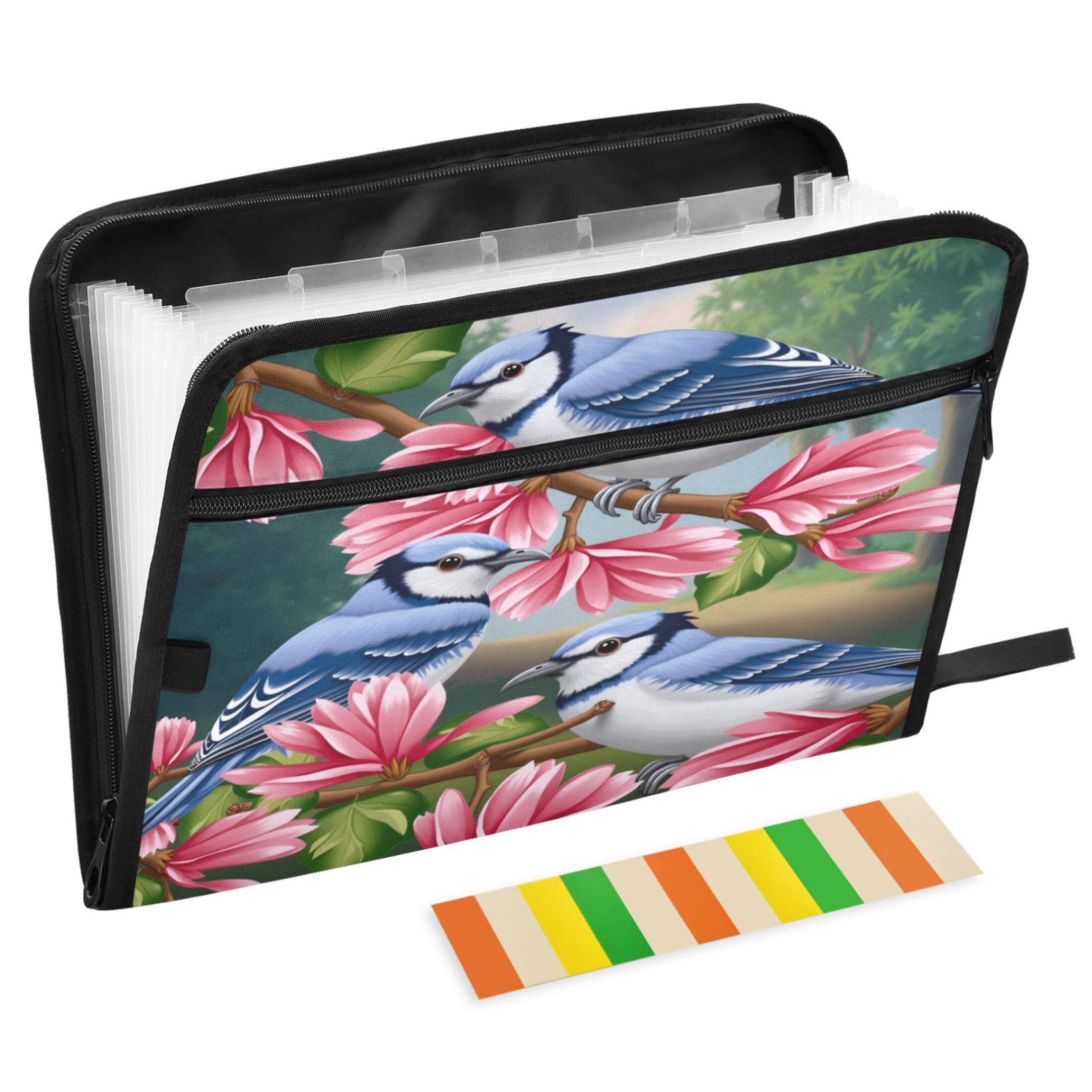 ALAZA Expanding File Folder 13 Pockets Accordion Document Organizer ...