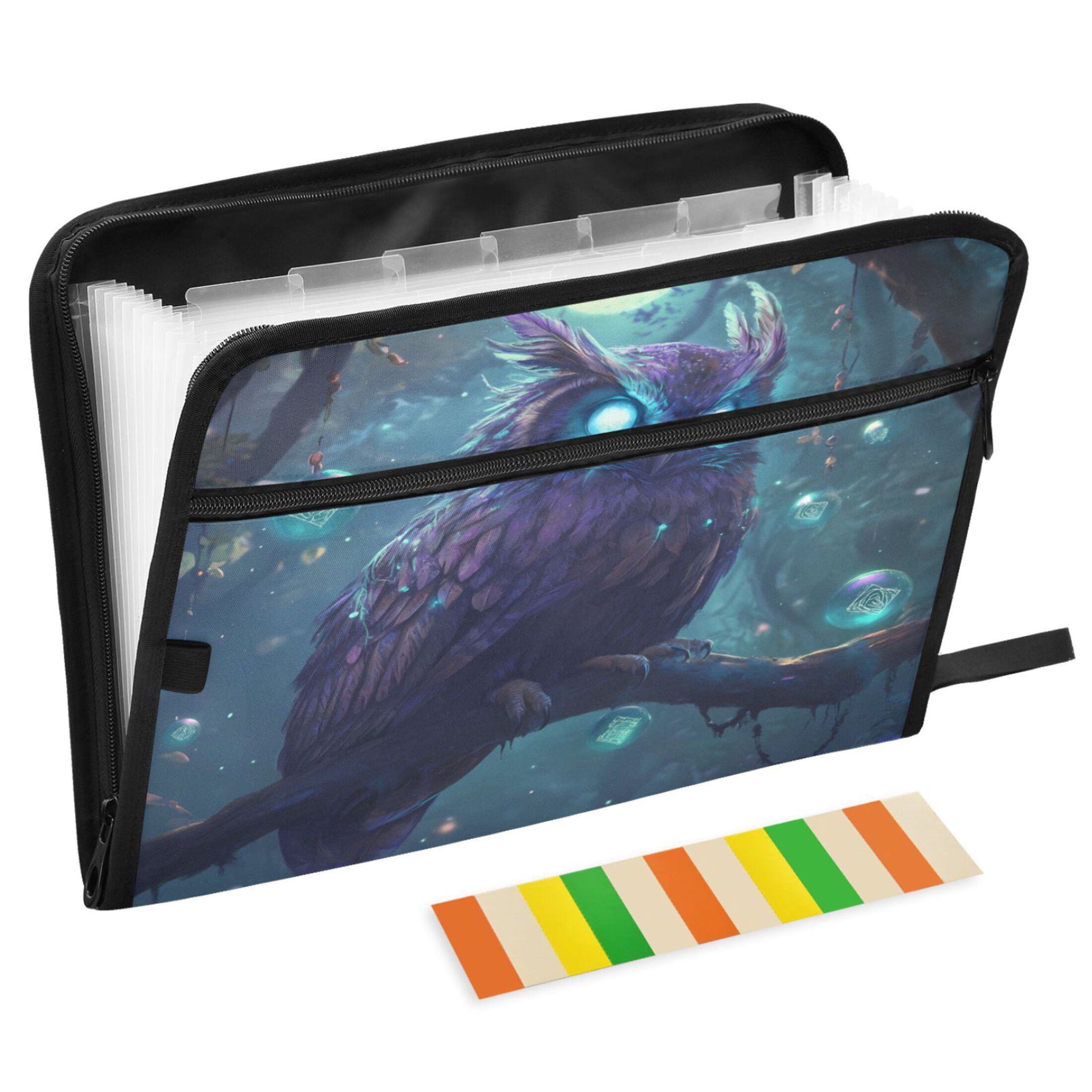 ALAZA Expanding File Folder 13 Pockets Accordion Document Organizer ...