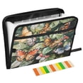 ALAZA Expanding File Folder 13 Pockets Accordion Document Organizer ...