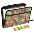 ALAZA Expanding File Folder 13 Pockets Accordion Document Organizer ...