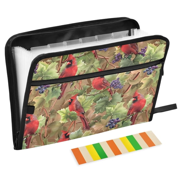 ALAZA Expanding File Folder 13 Pockets Accordion Document Organizer ...