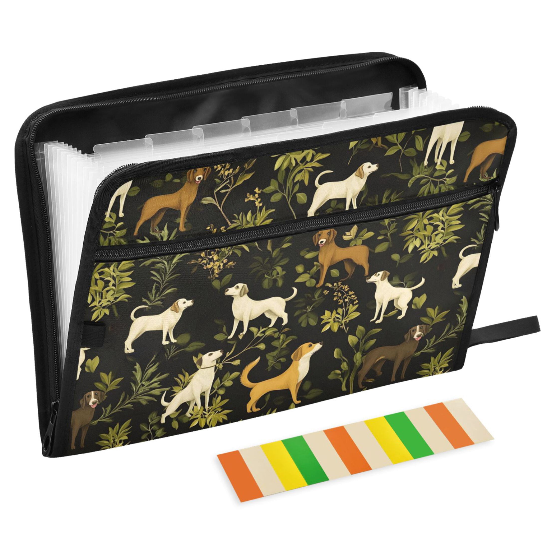 ALAZA Expanding File Folder 13 Pockets Accordion Document Organizer ...