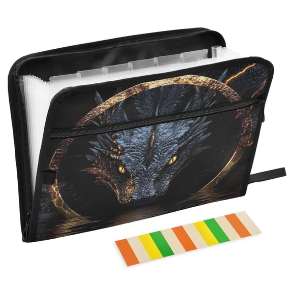 ALAZA Expanding File Folder 13 Pockets Accordion Document Organizer ...