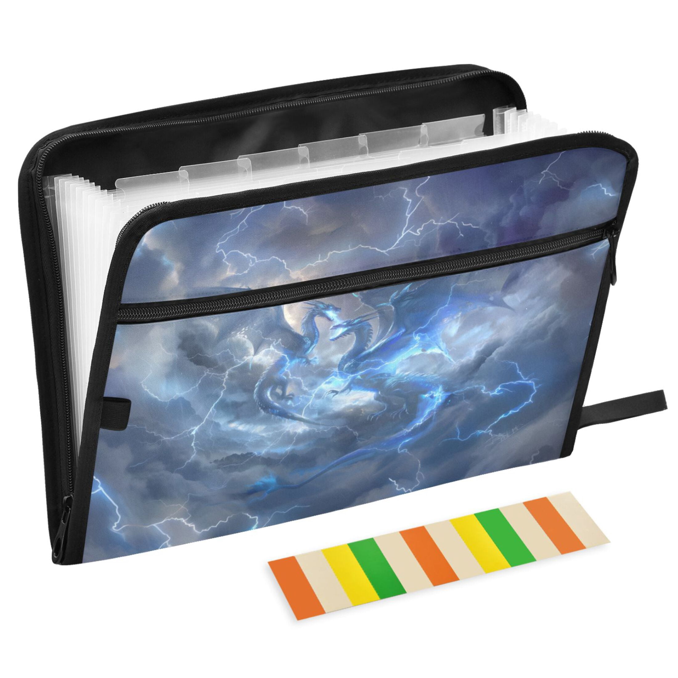 ALAZA Expanding File Folder 13 Pockets Accordion Document Organizer ...