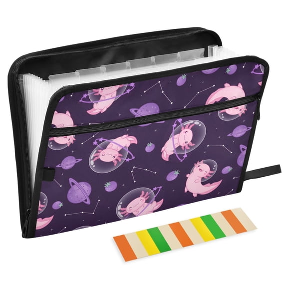 ALAZA Expanding File Folder 13 Pockets Accordion Document Organizer ...
