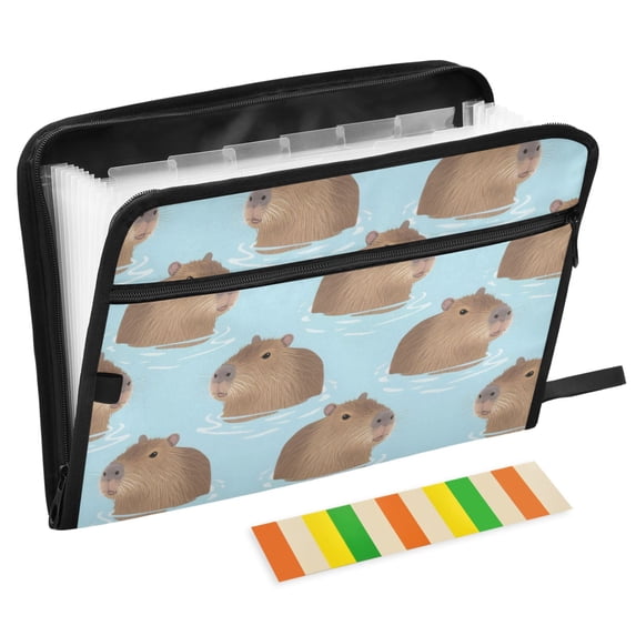 ALAZA Expanding File Folder 13 Pockets Accordion Document Organizer ...