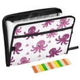 ALAZA Expanding File Folder 13 Pockets Accordion Document Organizer ...