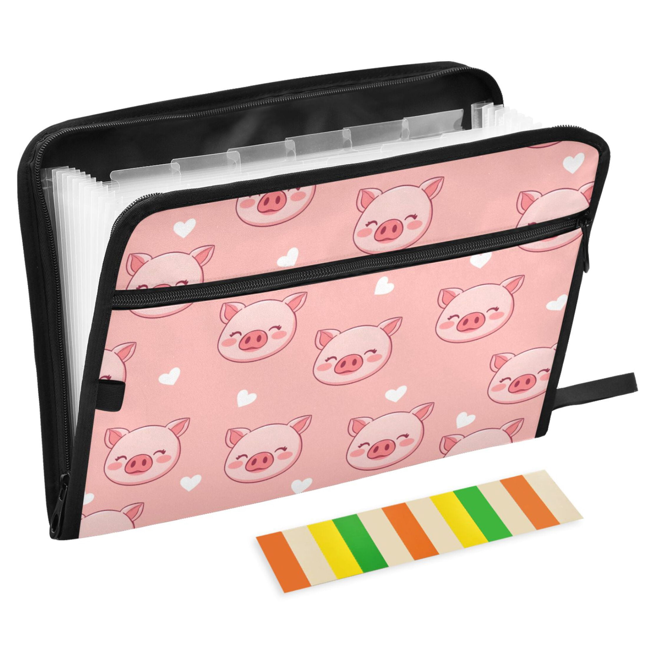 ALAZA Expanding File Folder 13 Pockets Accordion Document Organizer ...