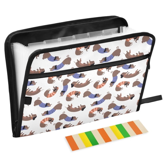 ALAZA Expanding File Folder 13 Pockets Accordion Document Organizer ...